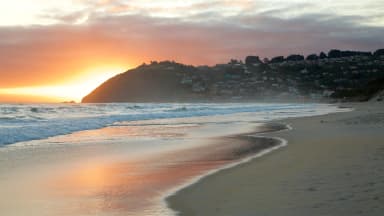 CamJam - New Zealand Surf